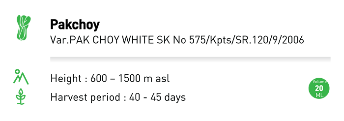 PakChoy White - PT. Tani Murni Seed